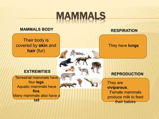 Unit 2 | PPTX | Reptiles | Pets