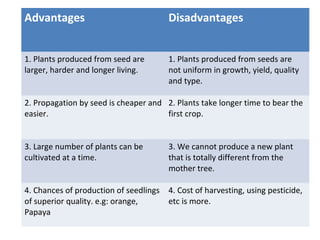 plant cultivation | PPT