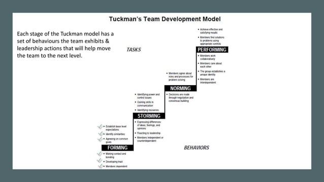 The Four Stages of team Development | PPT