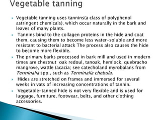 Unit 2-Materials and methods of Tanning | PPTX