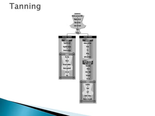 Unit 2-Materials and methods of Tanning | PPTX