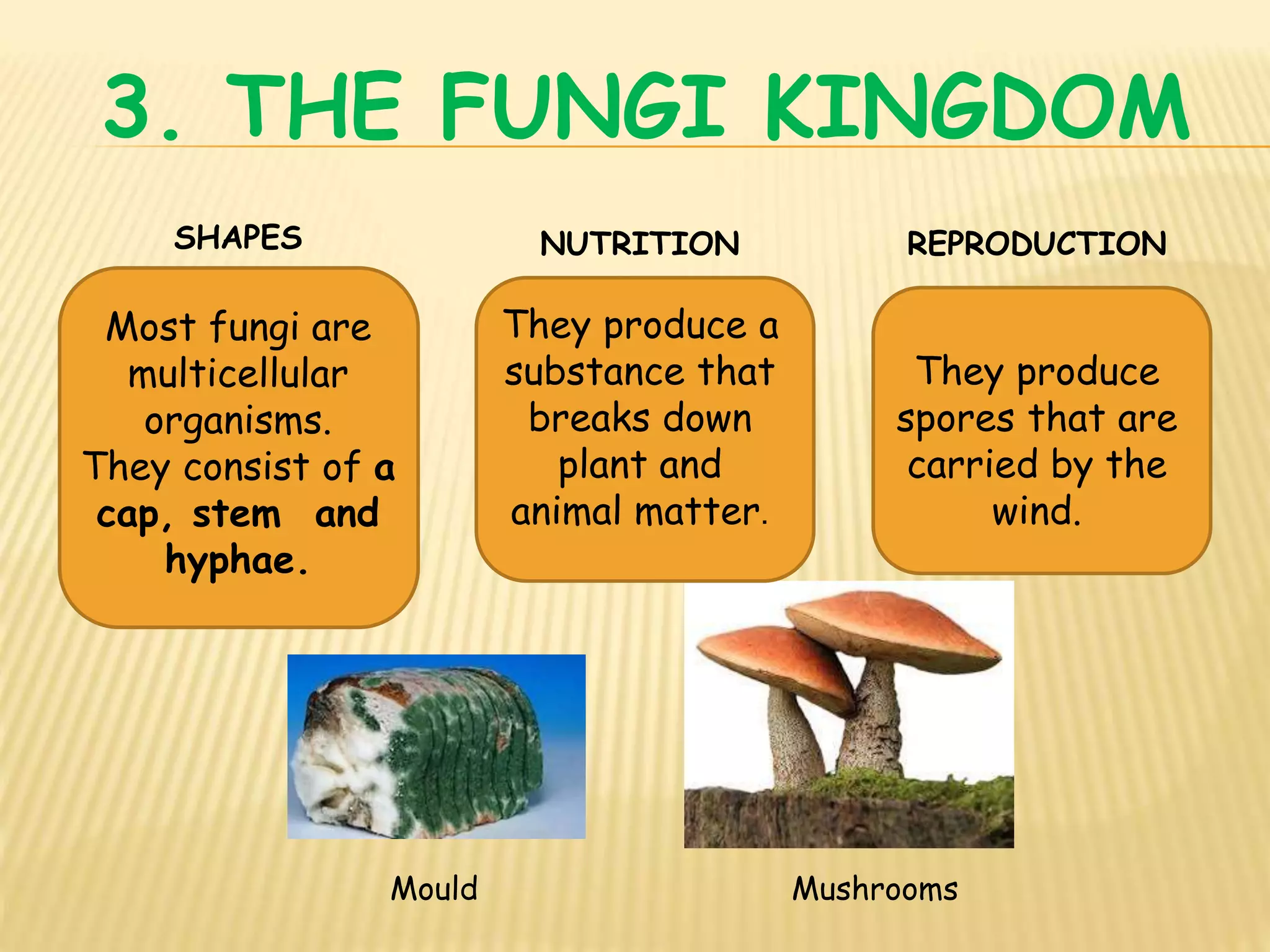 Unit 2. the classification of living things | PPT