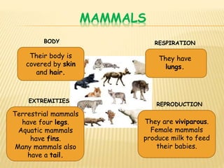 Unit 2. the classification of living things | PPT