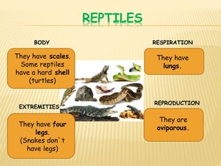 Unit 2. the classification of living things | PPT