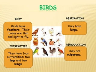 Unit 2. the classification of living things | PPTX