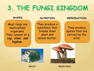 Unit 2. the classification of living things | PPT