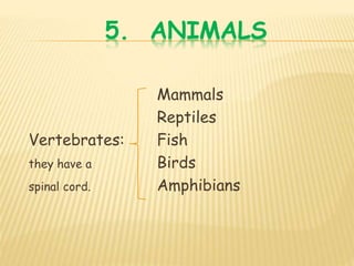 Unit 2. the classification of living things | PPT
