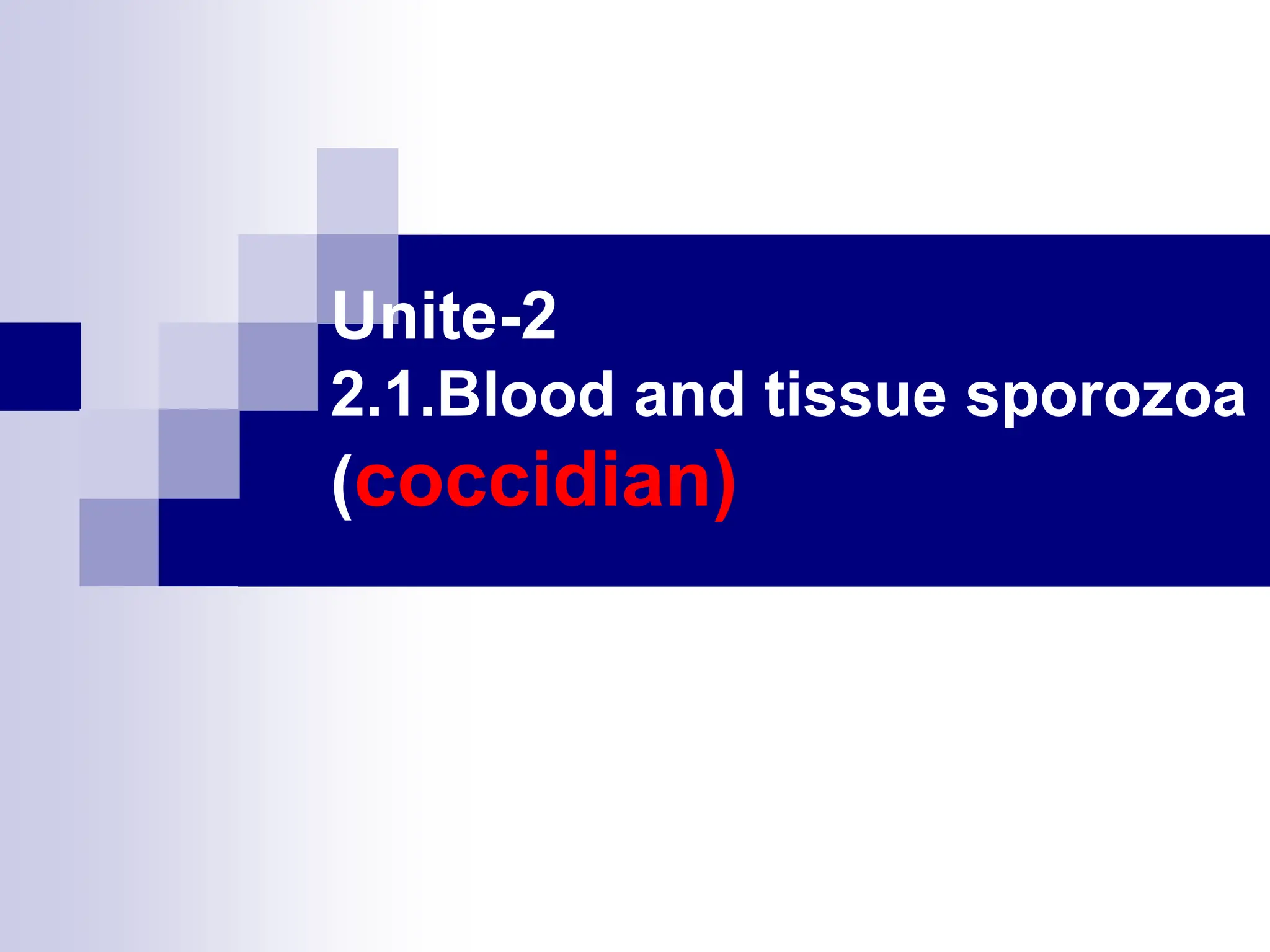 unit 2-1 Blood & TISSUE coccidian PPT2 March 2023.ppt