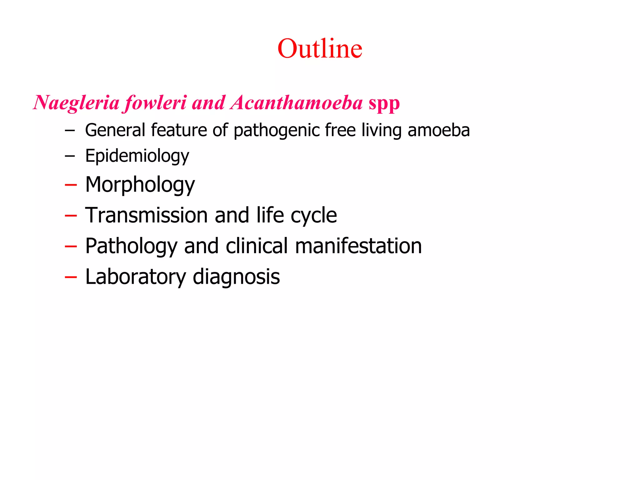 unit_2.2.free_living_amoeba..ppt