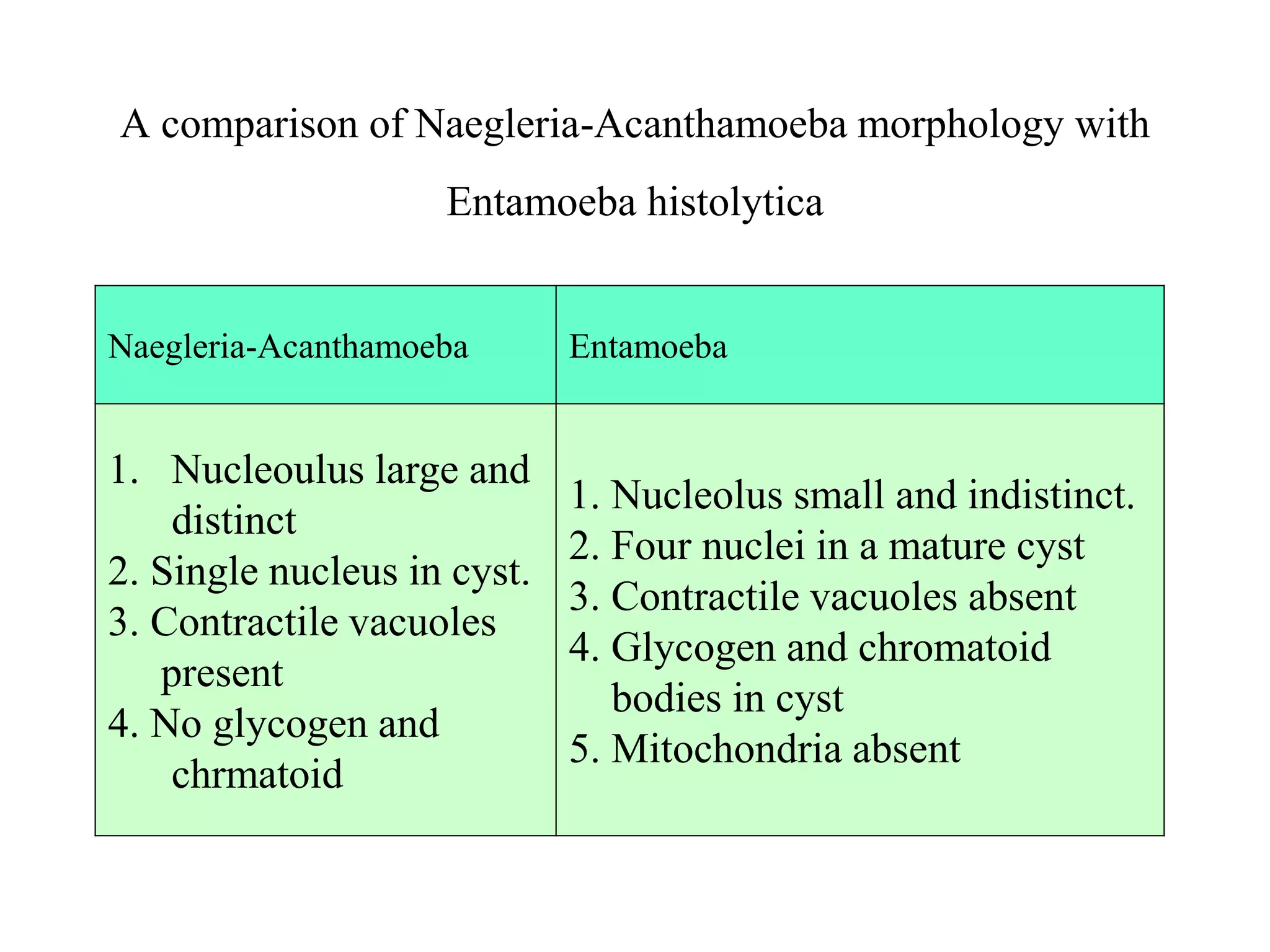unit_2.2.free_living_amoeba..ppt
