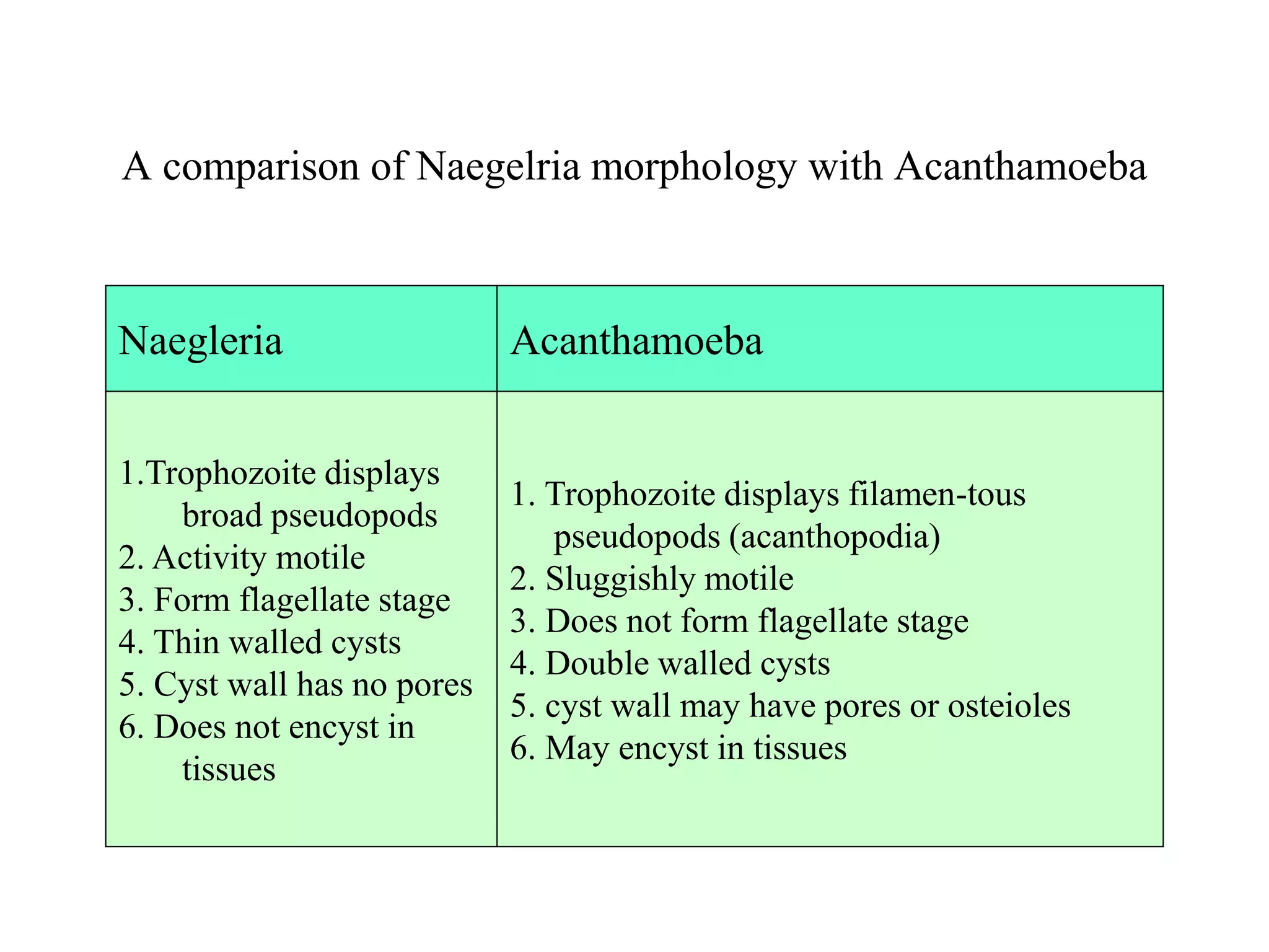 unit_2.2.free_living_amoeba..ppt