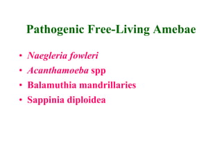 unit_2.2.free_living_amoeba..ppt