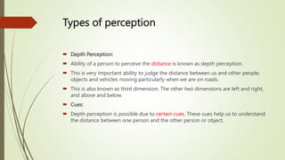 Perception | PPTX | 3-D Graphics | Computer Software and Applications