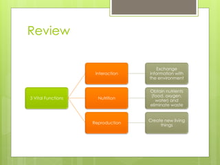 Unit 2. Interaction natural science 5 primary | PPT