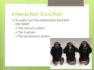 Unit 2. Interaction natural science 5 primary | PPT