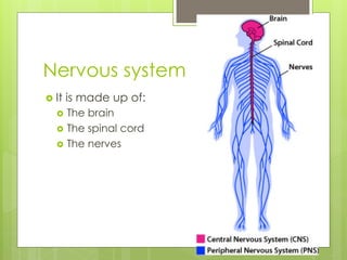 Unit 2. Interaction natural science 5 primary | PDF