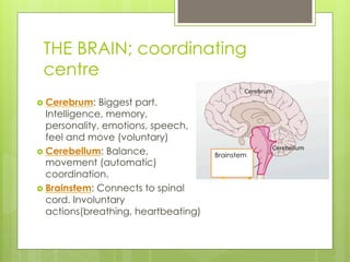 Unit 2. Interaction natural science 5 primary | PPT