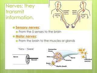 Unit 2. Interaction natural science 5 primary | PDF