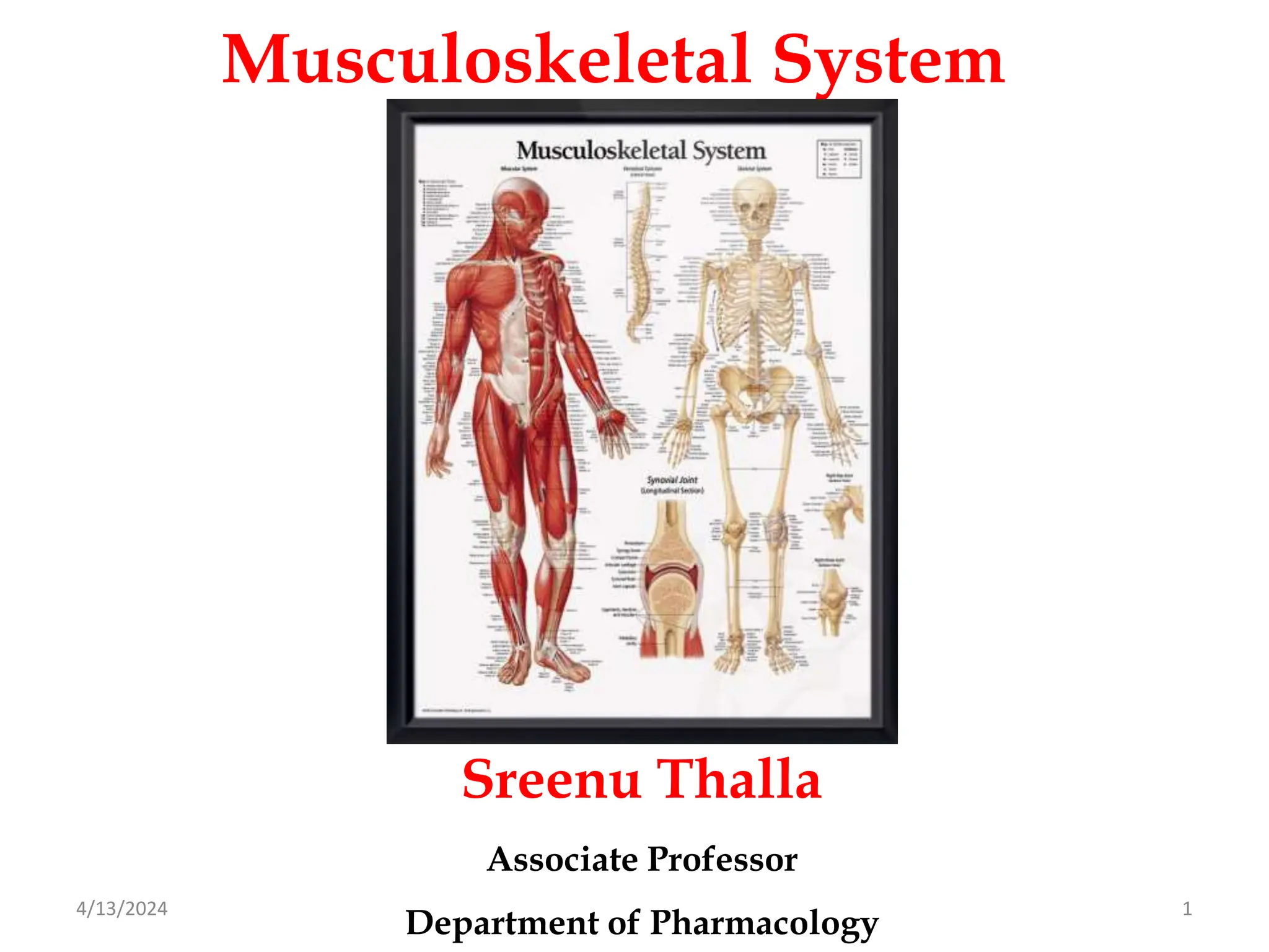 Clinical Pharmacotherapeutic approach of Musculoskeletal System | PPT