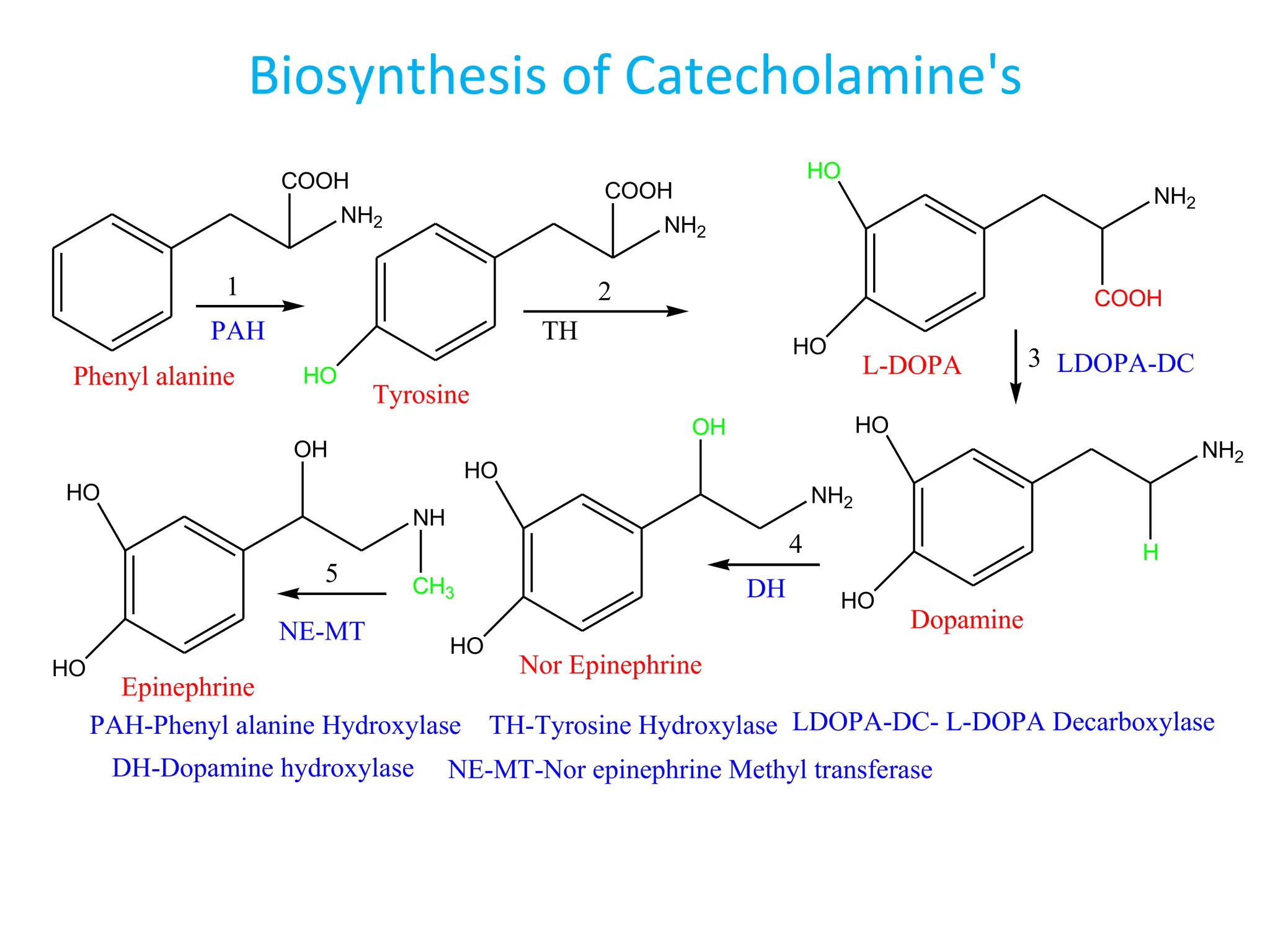Medicinal chemistry-I, Unit 2. Drug Acting On Sympathetic nervous ...