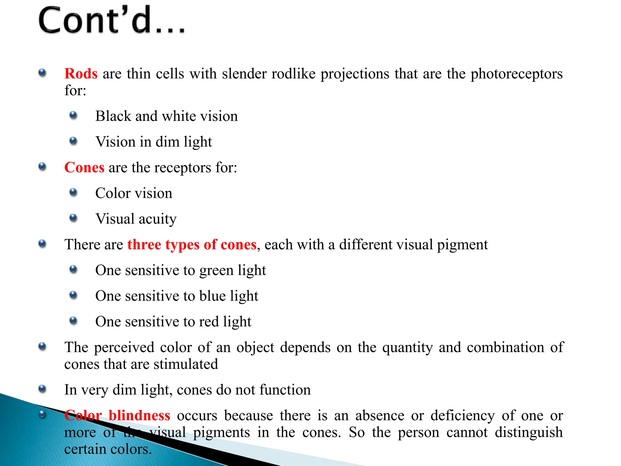 What is Image Processing. Image Process | PPTX