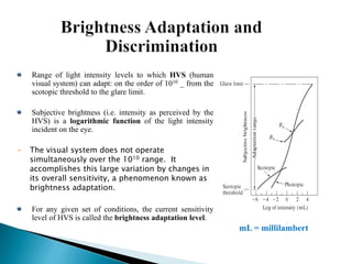 What is Image Processing. Image Process | PPTX