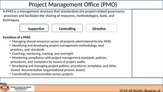 The Environment in Which Projects Operate | PPTX