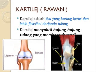 bidang dua sains sukan tingkatan empat s | PPTX