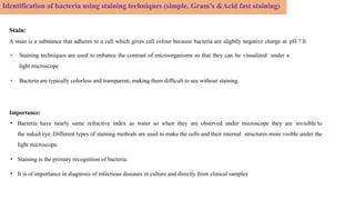 UNIT 2 Bacteria staining techniques pptx | PPTX