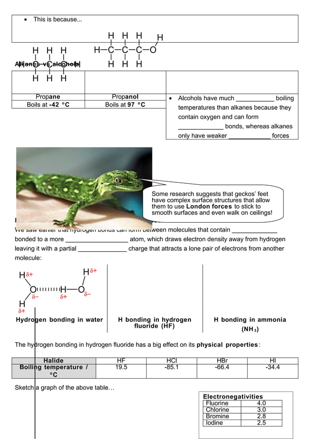 Unit 2.3 Intermolecular Forces Notes | DOC
