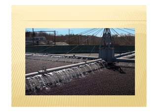 Unit 2:- Biological Unit Process(a).pdf