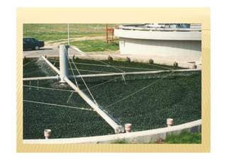 Unit 2:- Biological Unit Process(a).pdf