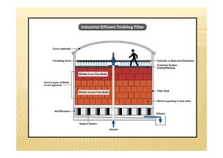 Unit 2:- Biological Unit Process(a).pdf