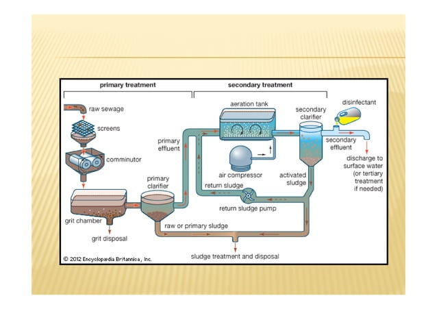 Unit 2:- Biological Unit Process(a).pdf