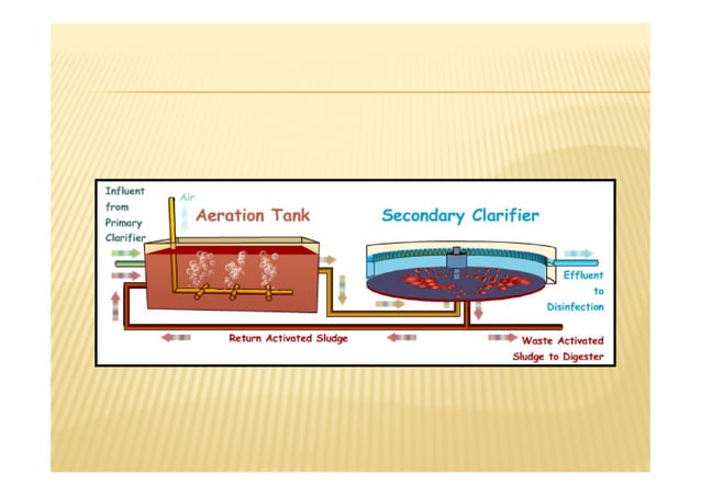 Unit 2:- Biological Unit Process(a).pdf