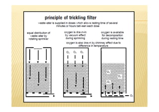 Unit 2:- Biological Unit Process(a).pdf