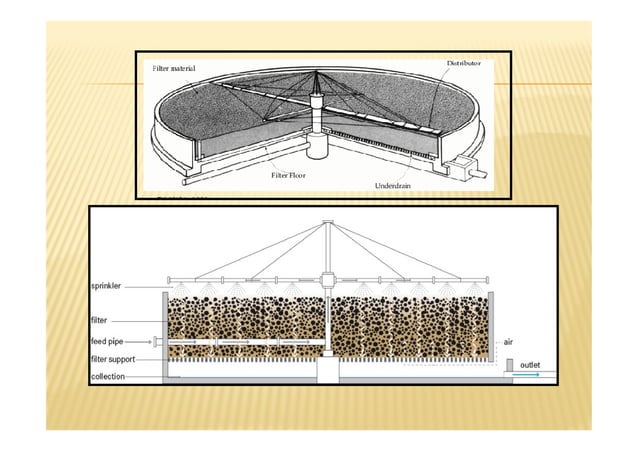 Unit 2:- Biological Unit Process(a).pdf
