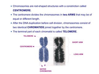 Unit2 cell cycle | PDF