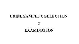 Unit 2 - Clinical Pathology - Analysis of body and cavity fluids | PPTX