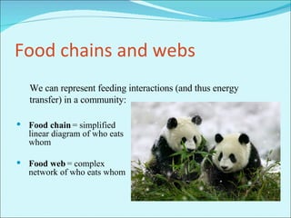 Unit2 Ecology Ic Communities | PPT