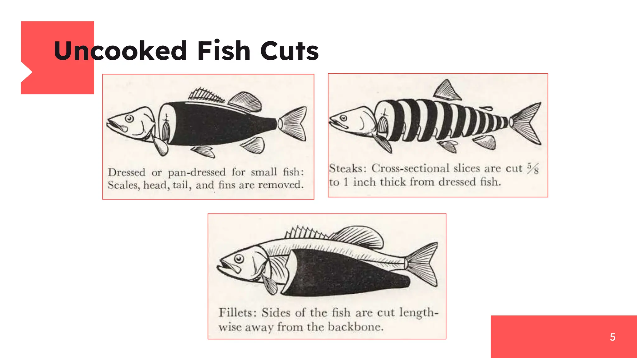 THE CLASSIFICATION AND MARKET FORMS OF FISH | PPTX