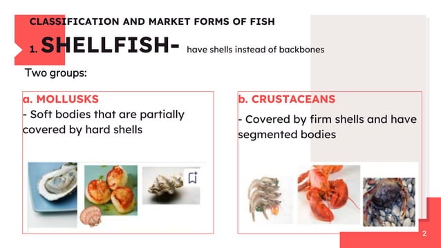 THE CLASSIFICATION AND MARKET FORMS OF FISH | PPTX | Cooking | Food & Drink