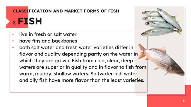 THE CLASSIFICATION AND MARKET FORMS OF FISH | PPTX | Cooking | Food & Drink