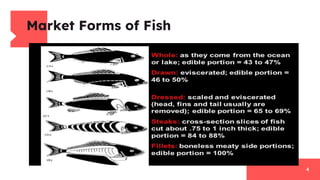 THE CLASSIFICATION AND MARKET FORMS OF FISH | PPTX