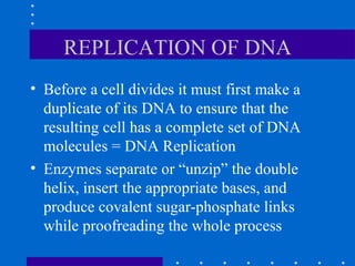 Unit2 lesson2-dnareplication | PPT | Chemistry | Science