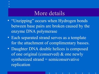 Unit2 lesson2-dnareplication | PPT | Chemistry | Science
