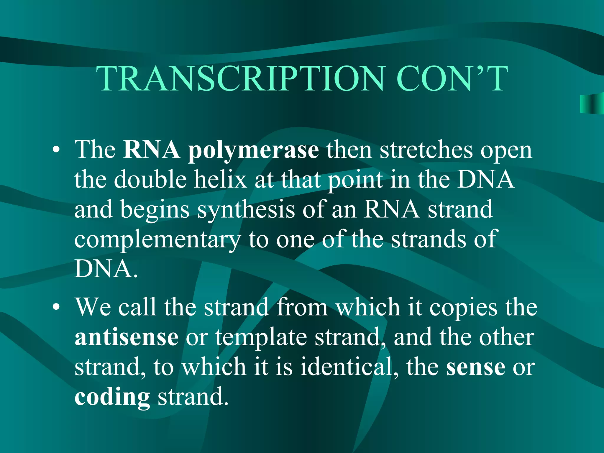 Unit2 lesson3-proteinsysnthesis | PPT