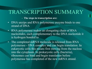 Unit2 lesson3-proteinsysnthesis | PPT | Programming Languages | Computing