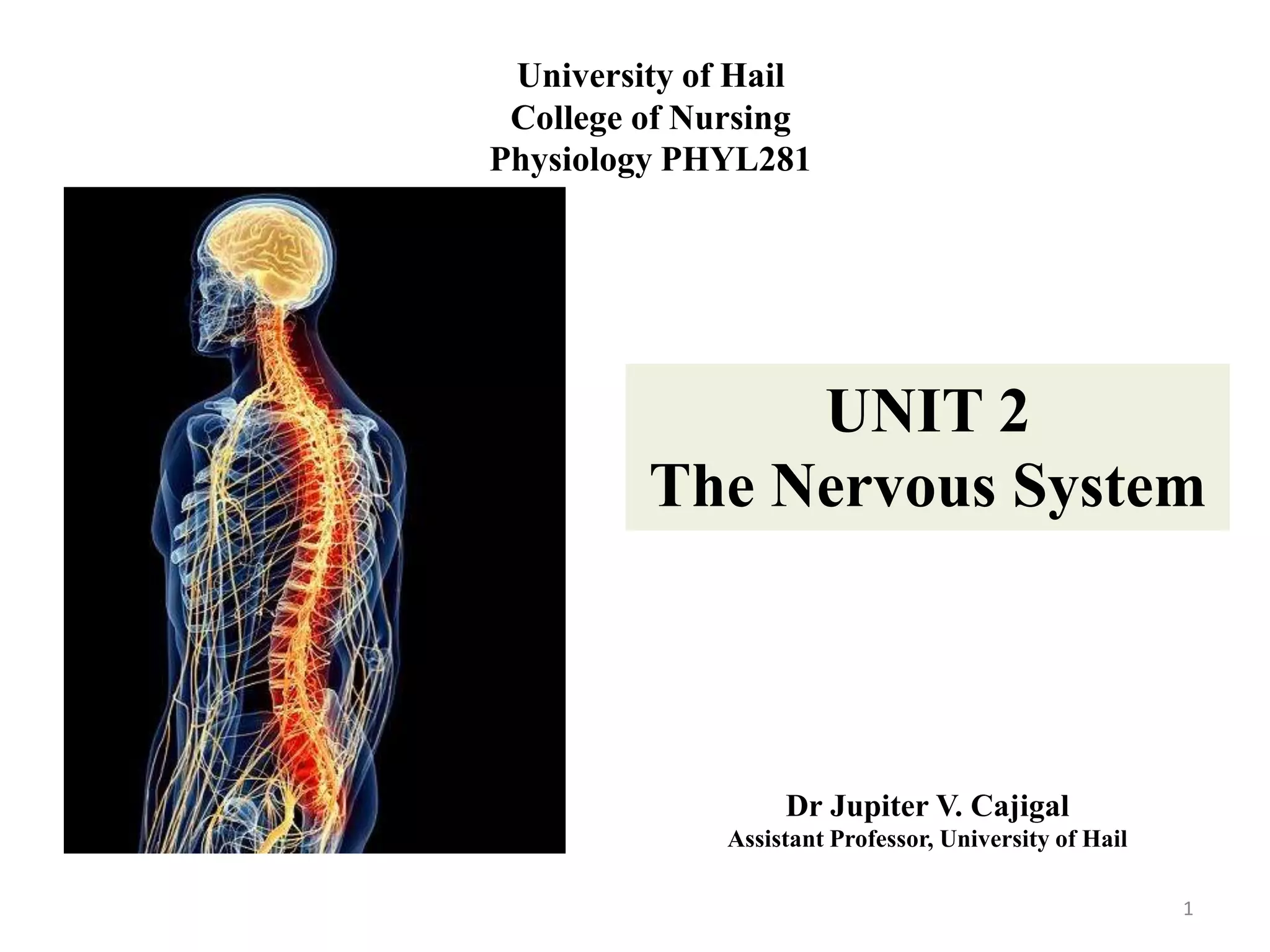 Unit 2 nervous system | PPTX