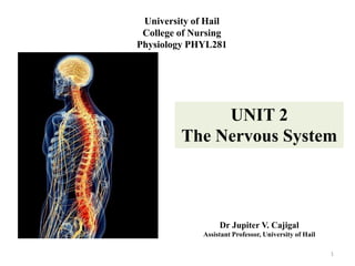 Unit 2 nervous system | PPTX